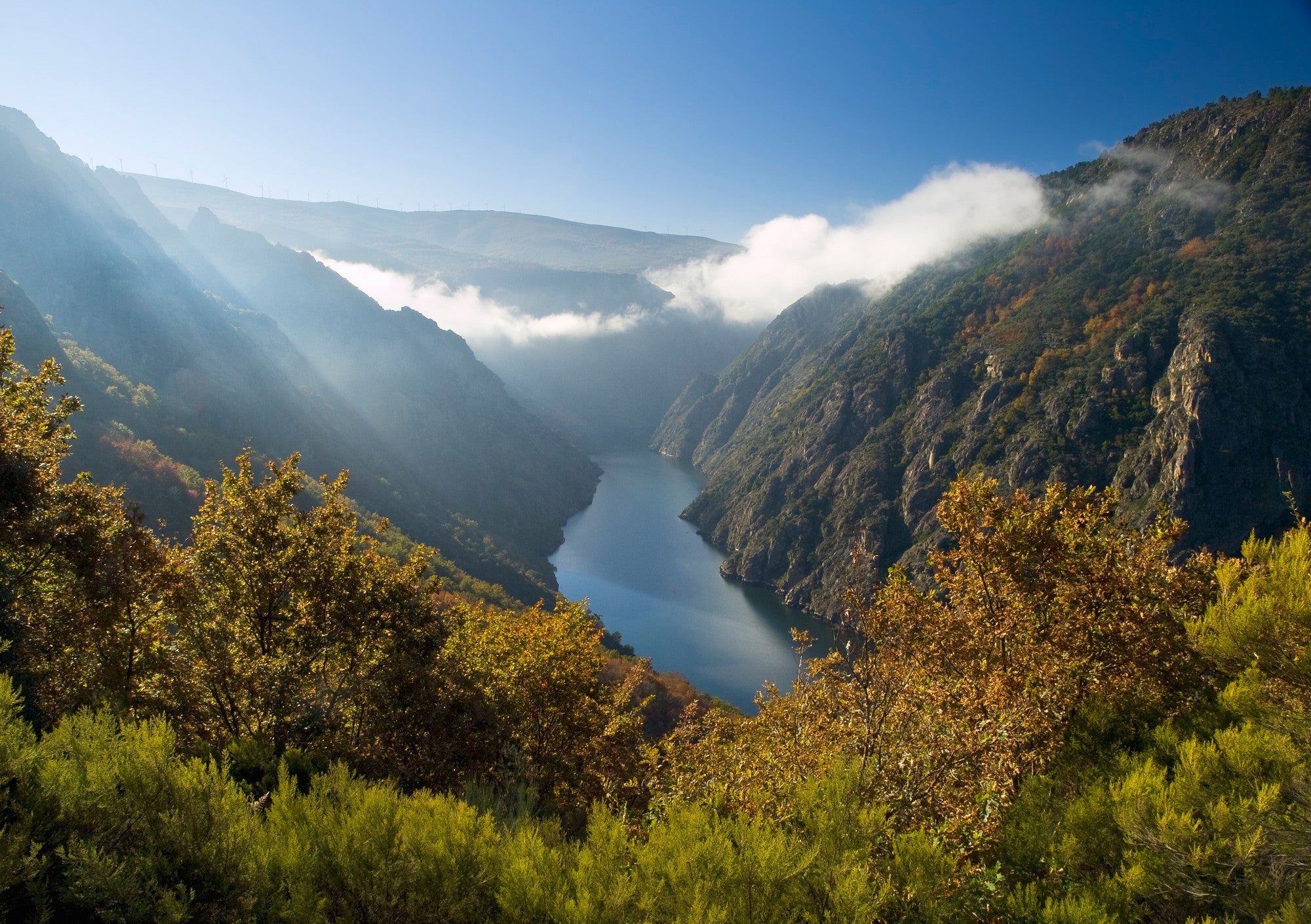 Si el mundo se desmorona, ven a la Ribeira Sacra, hay vino. - Houdinis